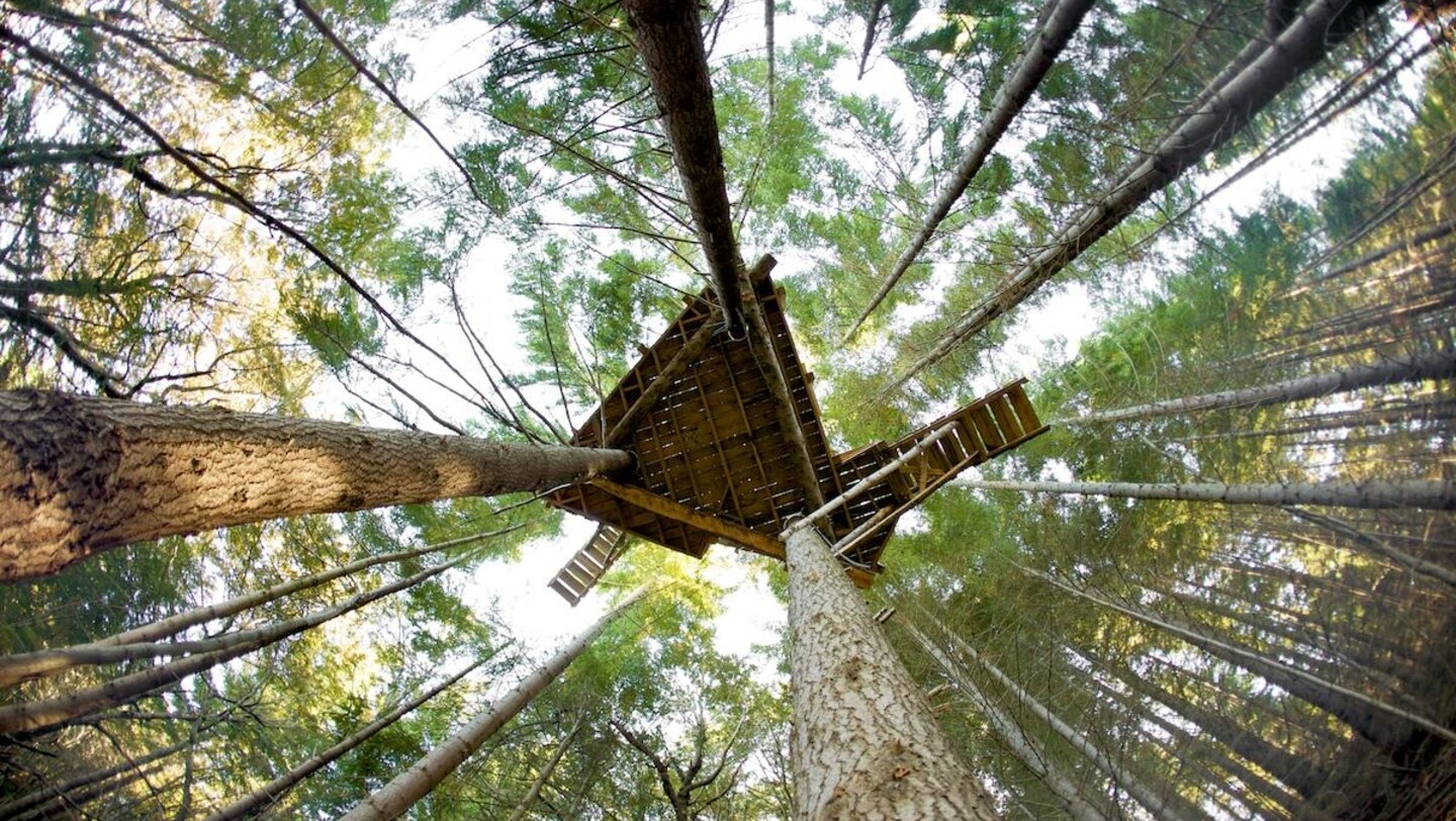 Ziptrek Ecotours | Activities & Day Trips in Queenstown, New Zealand