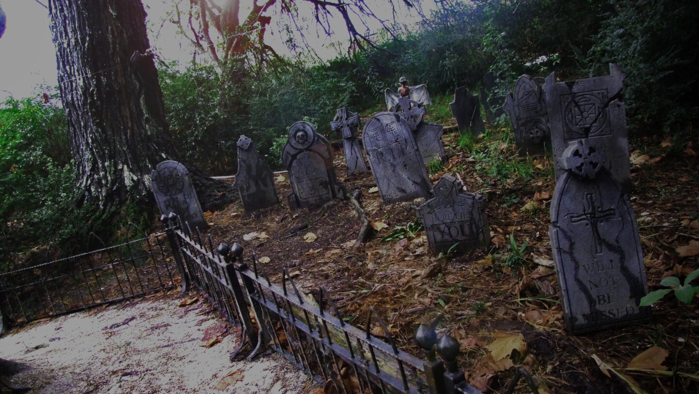 Spookers | Activity in Auckland, New Zealand