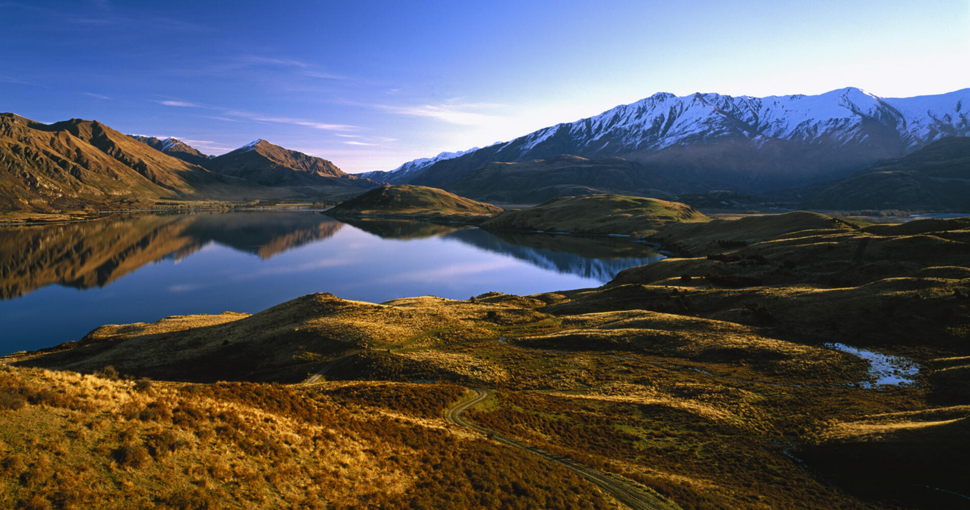 Central Otago Photo Safaris and Nature Tours | Activities & Day Trips ...
