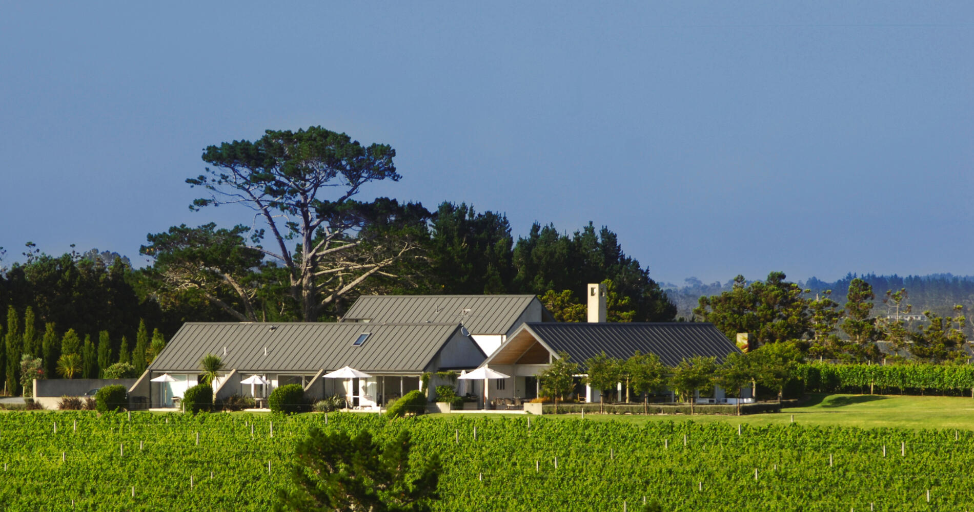 Takatu Lodge & Vineyard - Matakana Coast | Accommodation in Auckland ...