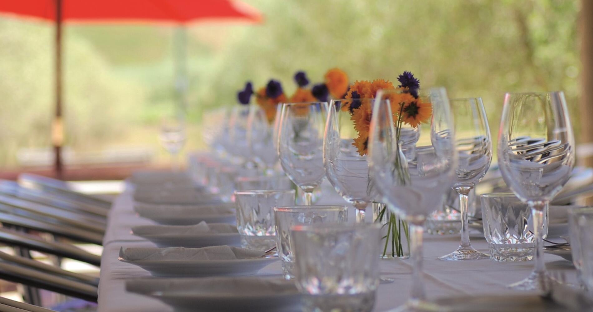 Ash Ridge Wines | Activity in Hawke's Bay, New Zealand