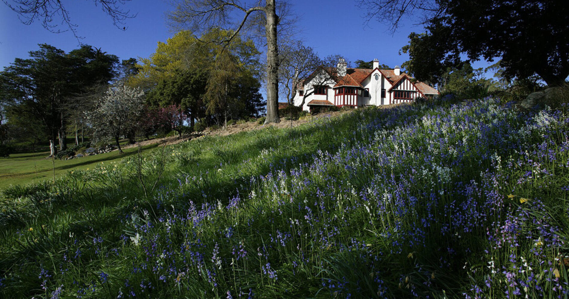 Holme Station Luxury Homestead | Accommodation in Christchurch ...
