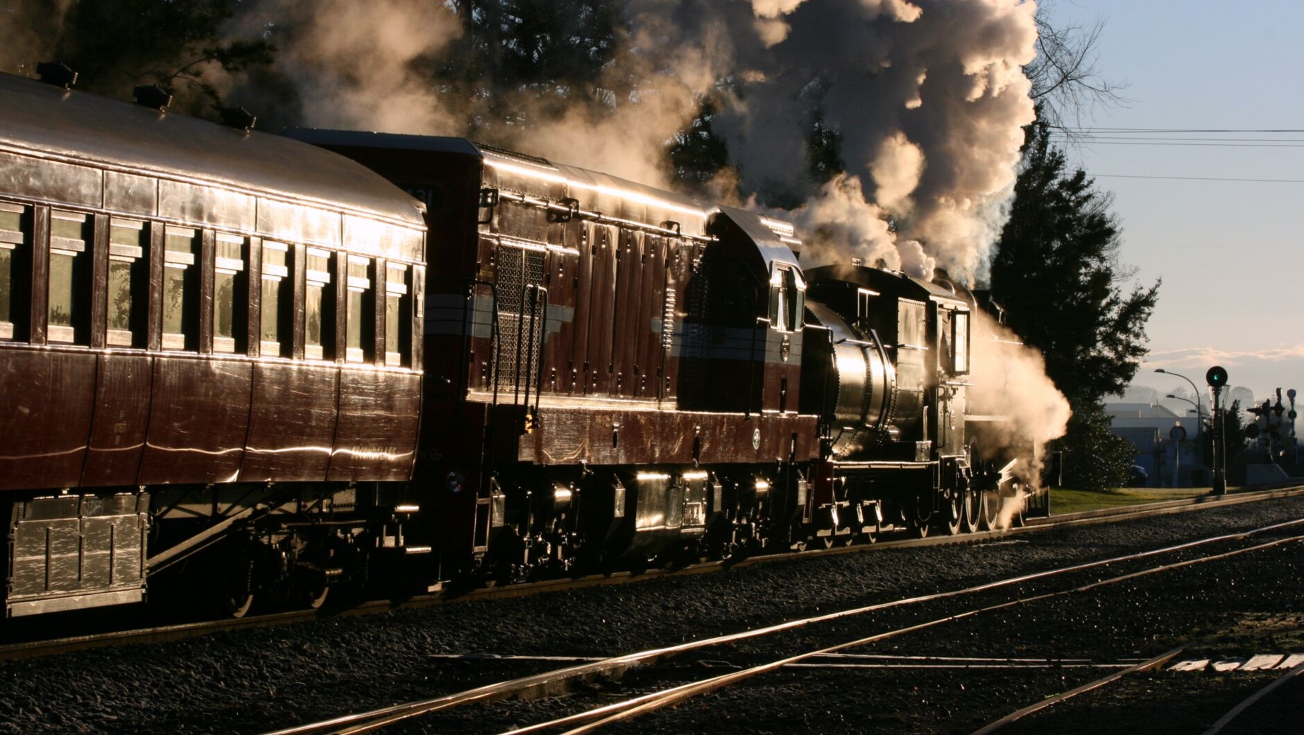 Steam Incorporated | Transport in Wellington, New Zealand