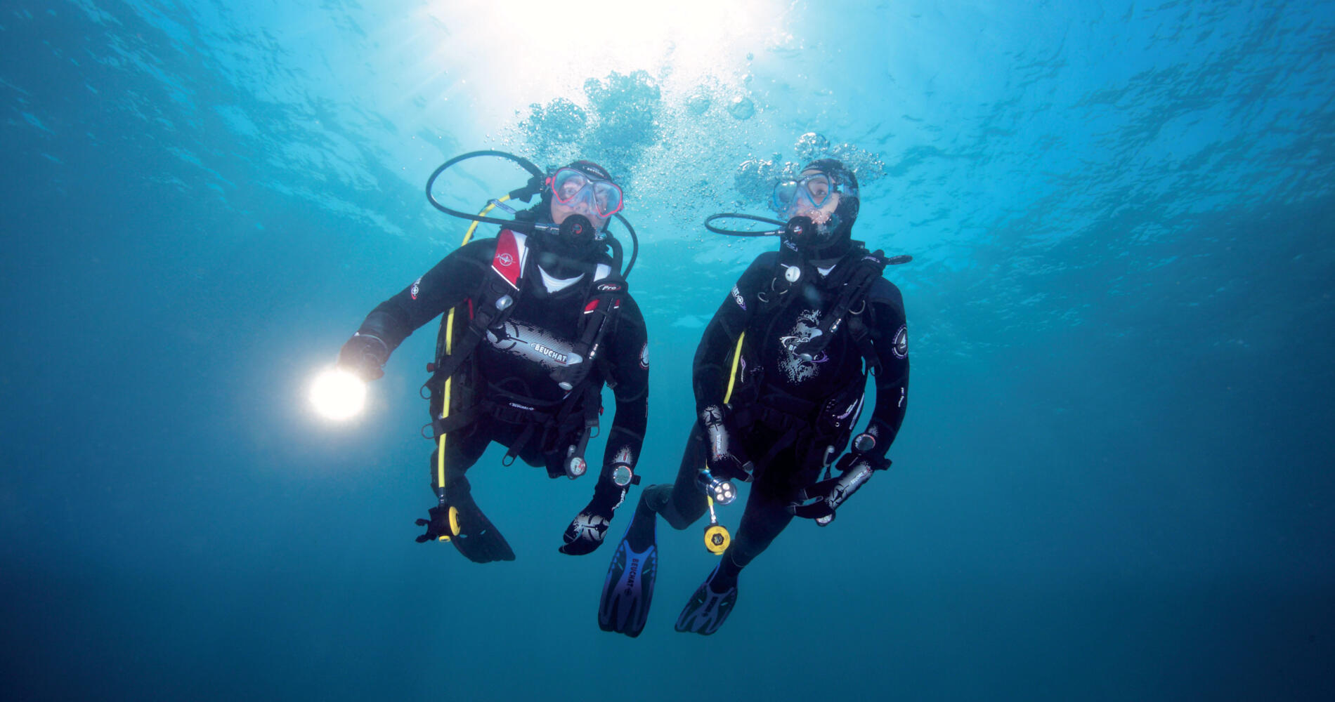 New Zealand Diving Training and Tours | Activity in Auckland, New Zealand