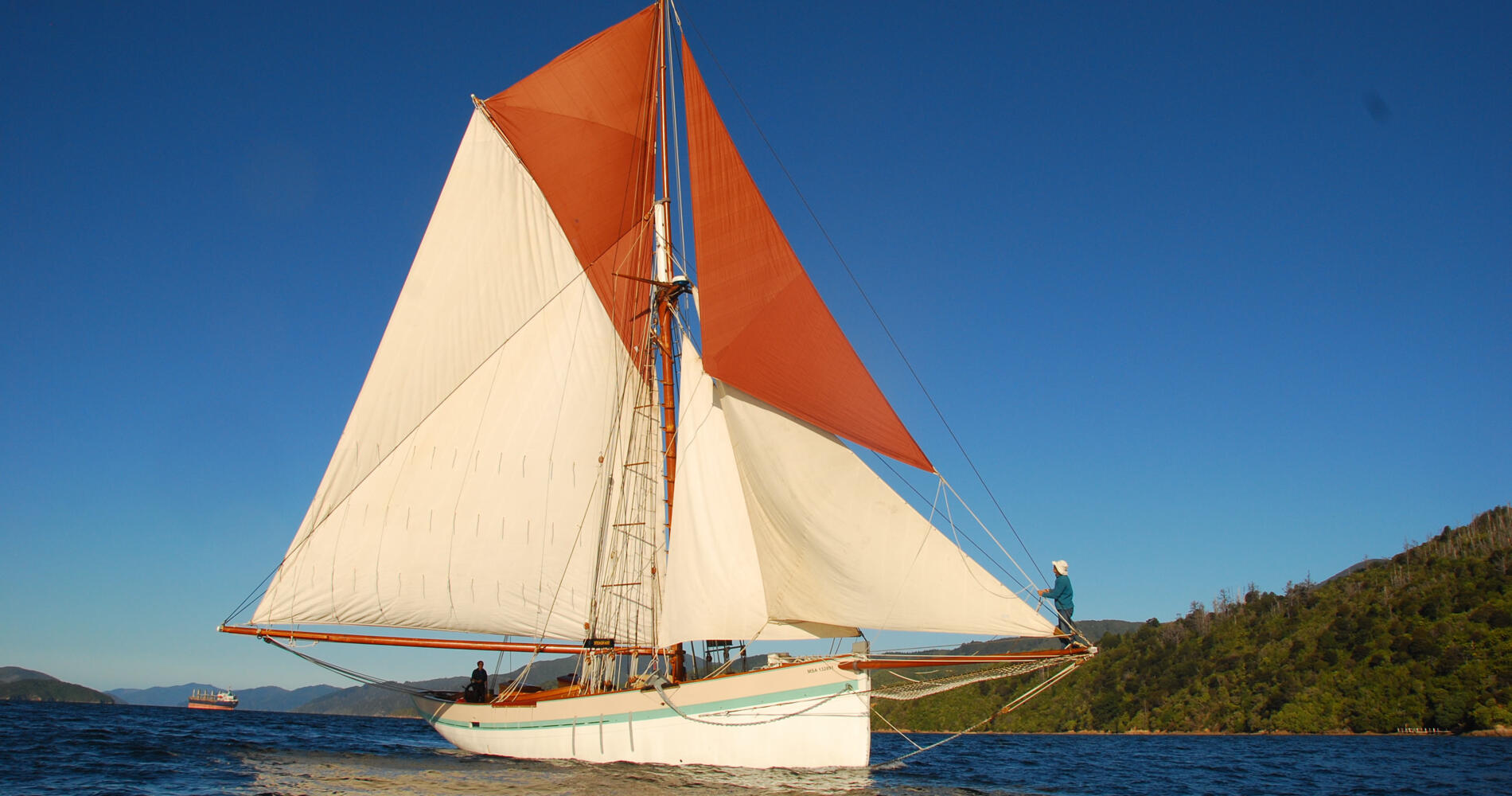 Steadfast Traditional Sail | Activity in Marlborough, New Zealand