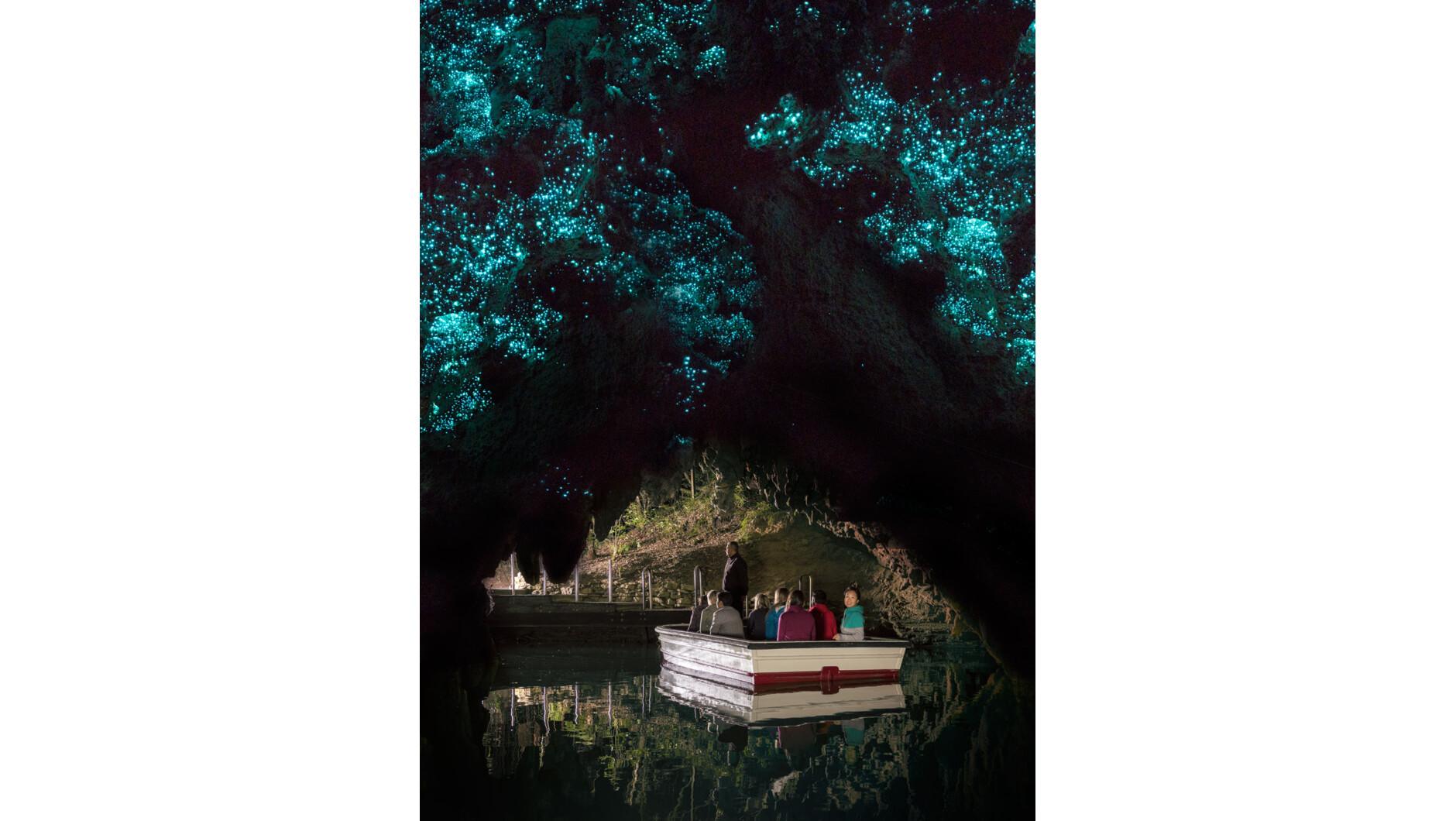 Waitomo Glowworm Caves | Activities & Day Trips in Waikato, New Zealand