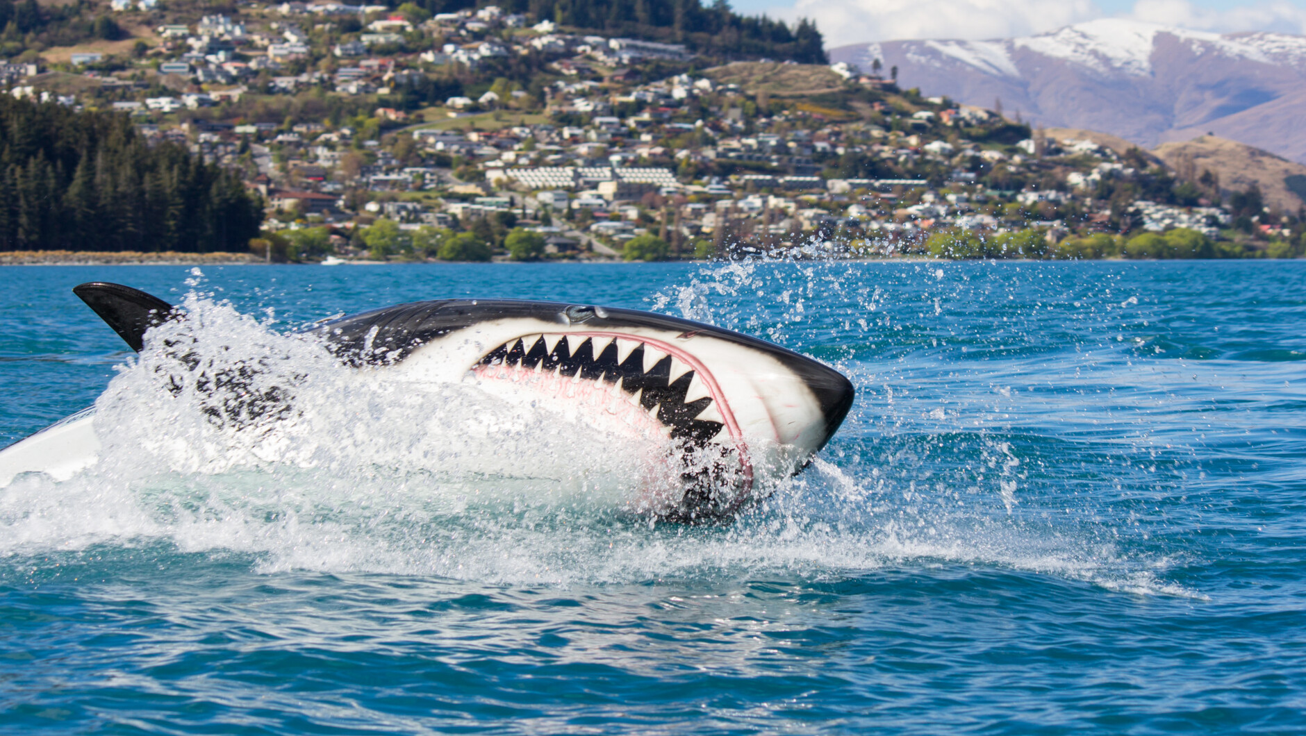 Hydro Attack Shark Ride | Activities & Day Trips in Queenstown, New Zealand