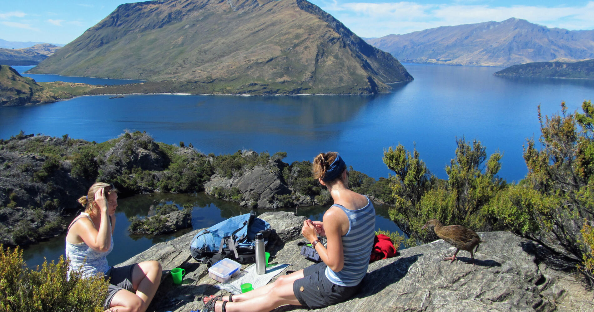 Eco Wanaka Adventures - Wanaka Nature Encounter | Activities & Day ...