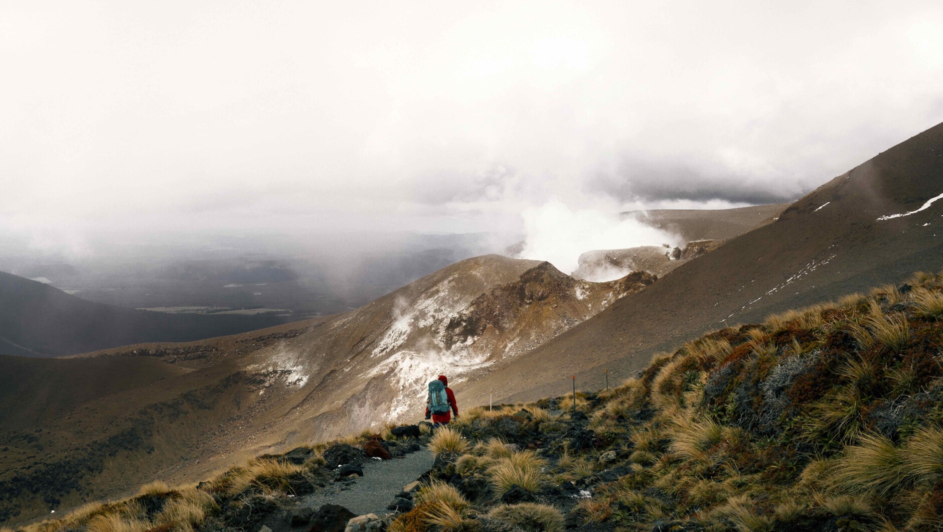 Ultimate North Guided Tour - Hiking New Zealand - 8 days | Multi-Day ...