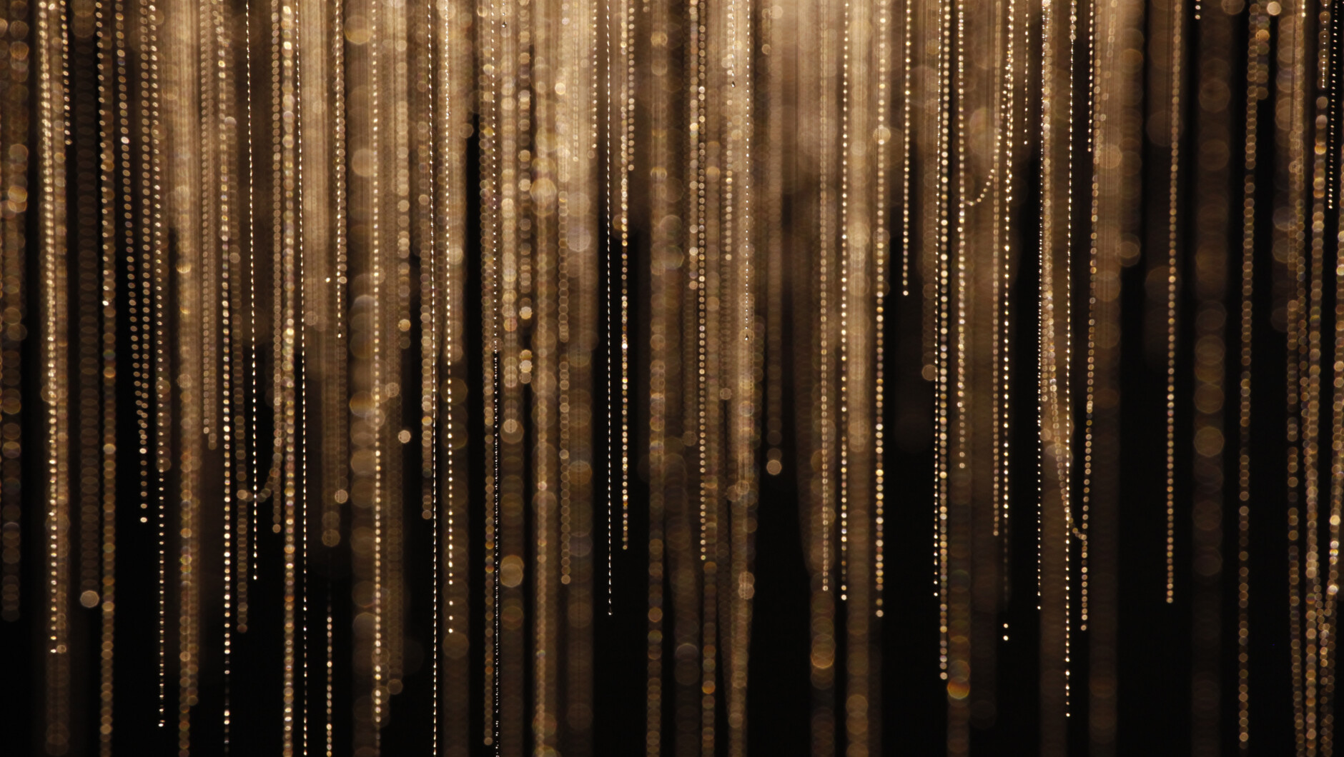 Waitomo Glowworm Caves | Activities & Day Trips in Waikato, New Zealand