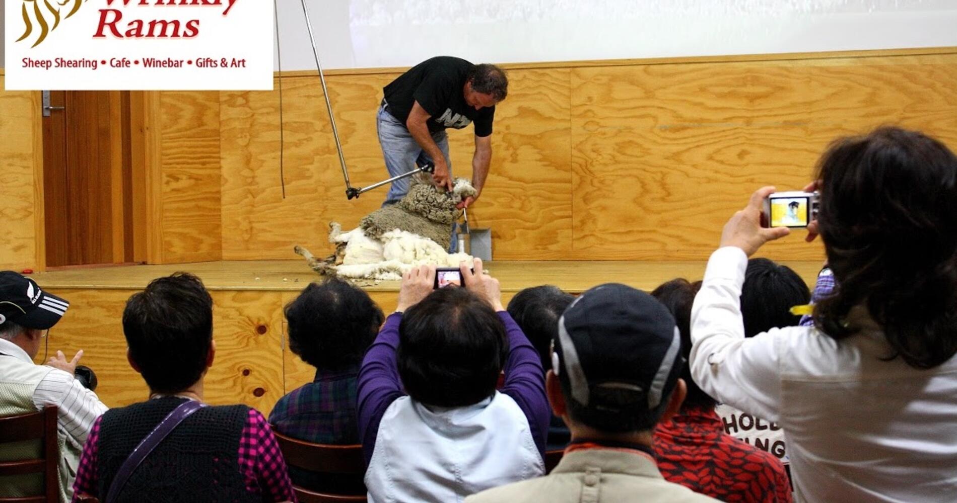 The Wrinkly Rams - Sheep Shearing Show | Activities & Day Trips in ...