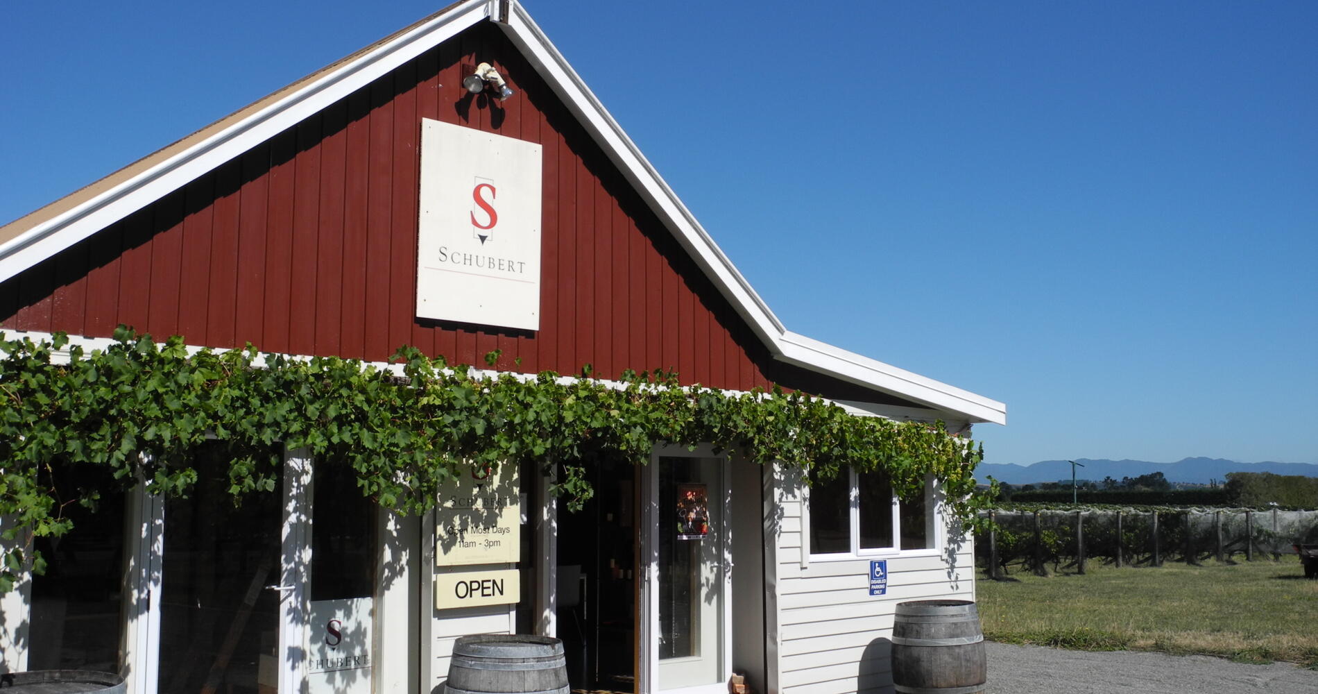 Schubert Wines Limited | Activities & Day Trips in Wairarapa, New Zealand