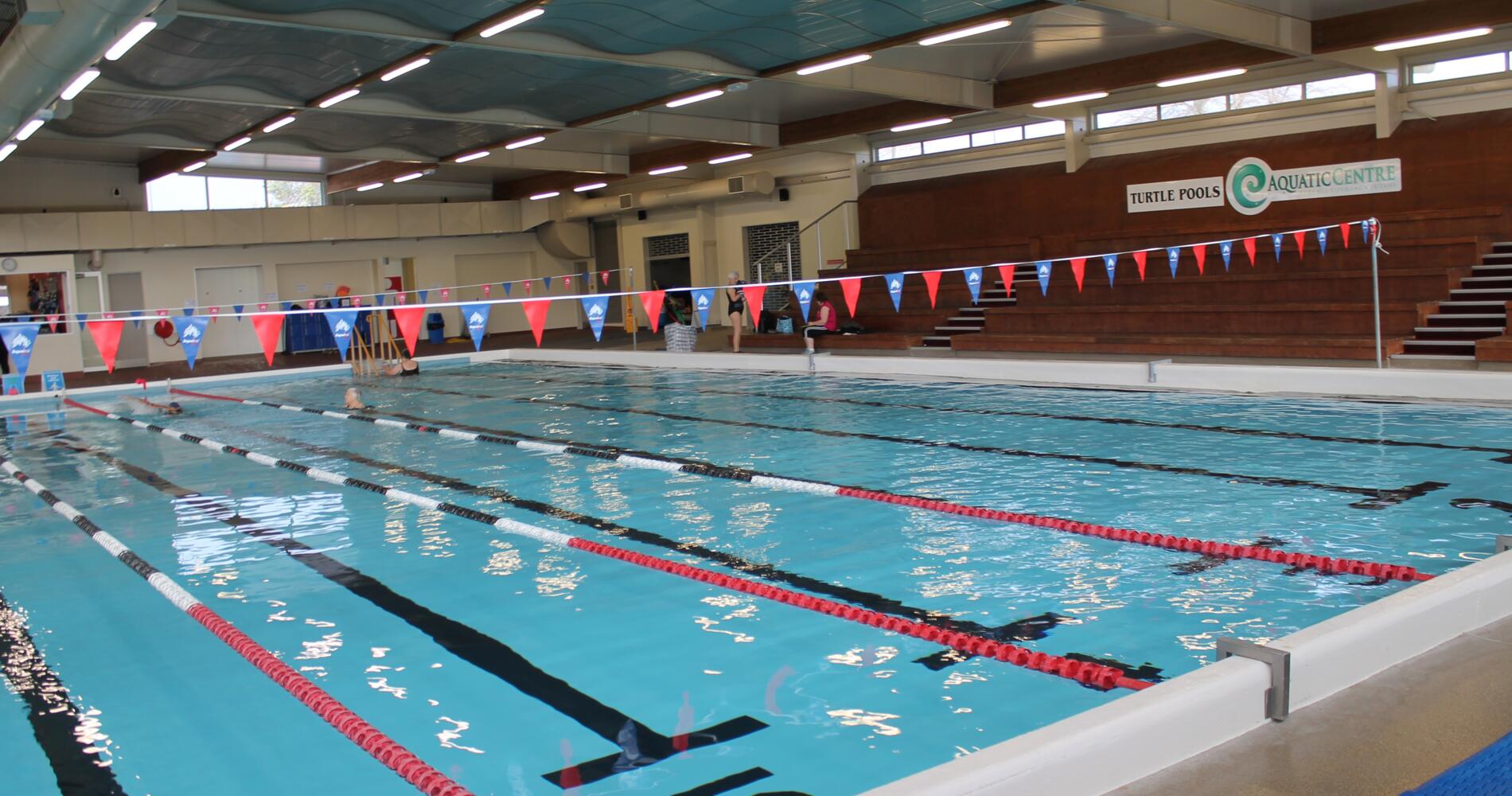 Turtle Pools, Turangi | Activities & Day Trips in Taupō, New Zealand