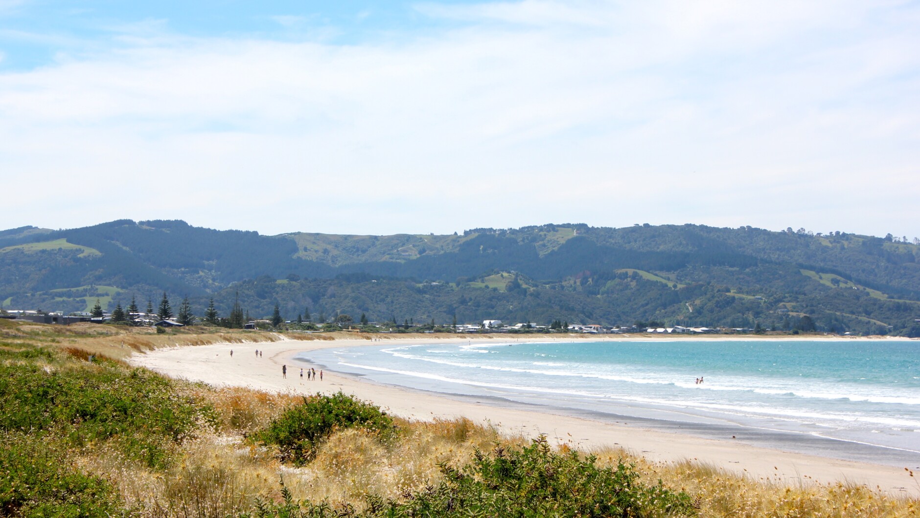 Blue Adventures - Stand up paddleboarding | Activity in Auckland, New ...