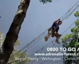 Adrenalin Forest Wellington | Activity in Wellington, New Zealand