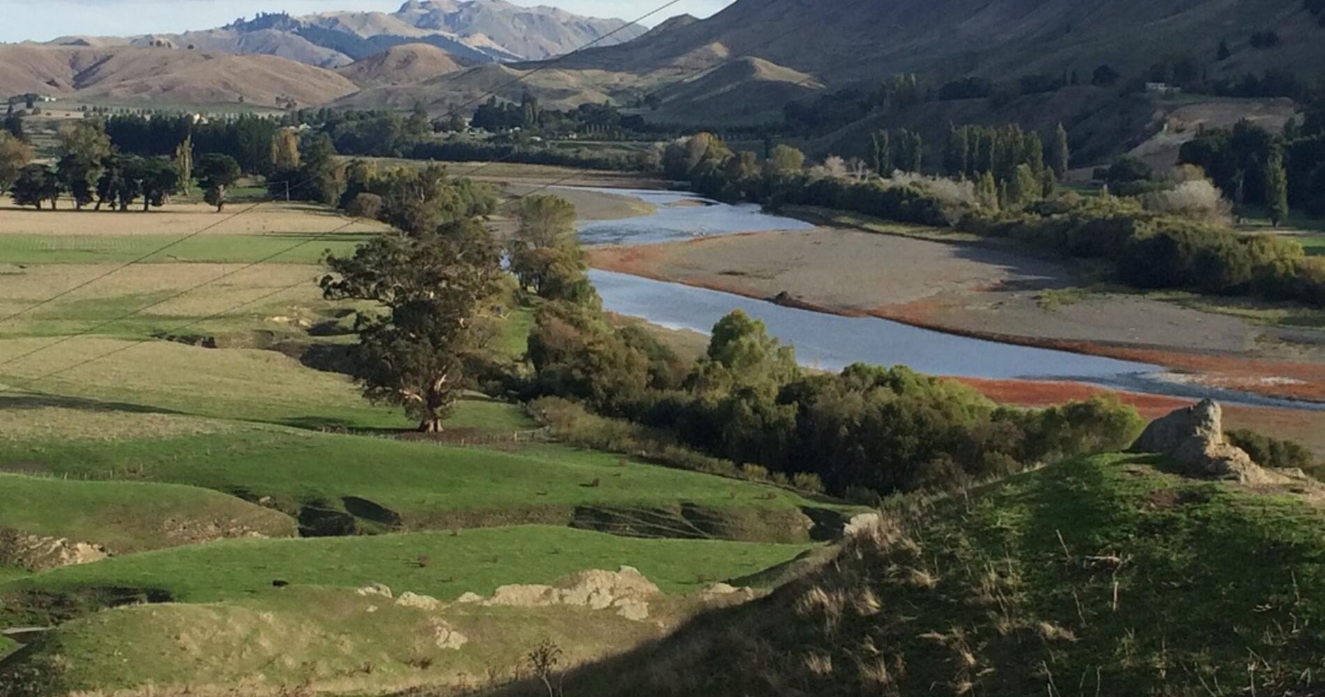 Prinsy's Rural & Fishing Tours | Hawke's Bay | Activities & Day Trips ...