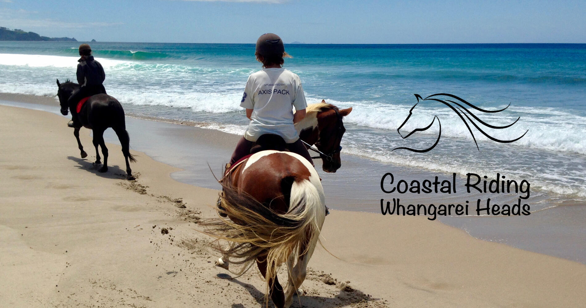 Coastal Riding Whangarei Heads | Activities & Day Trips in Northland ...