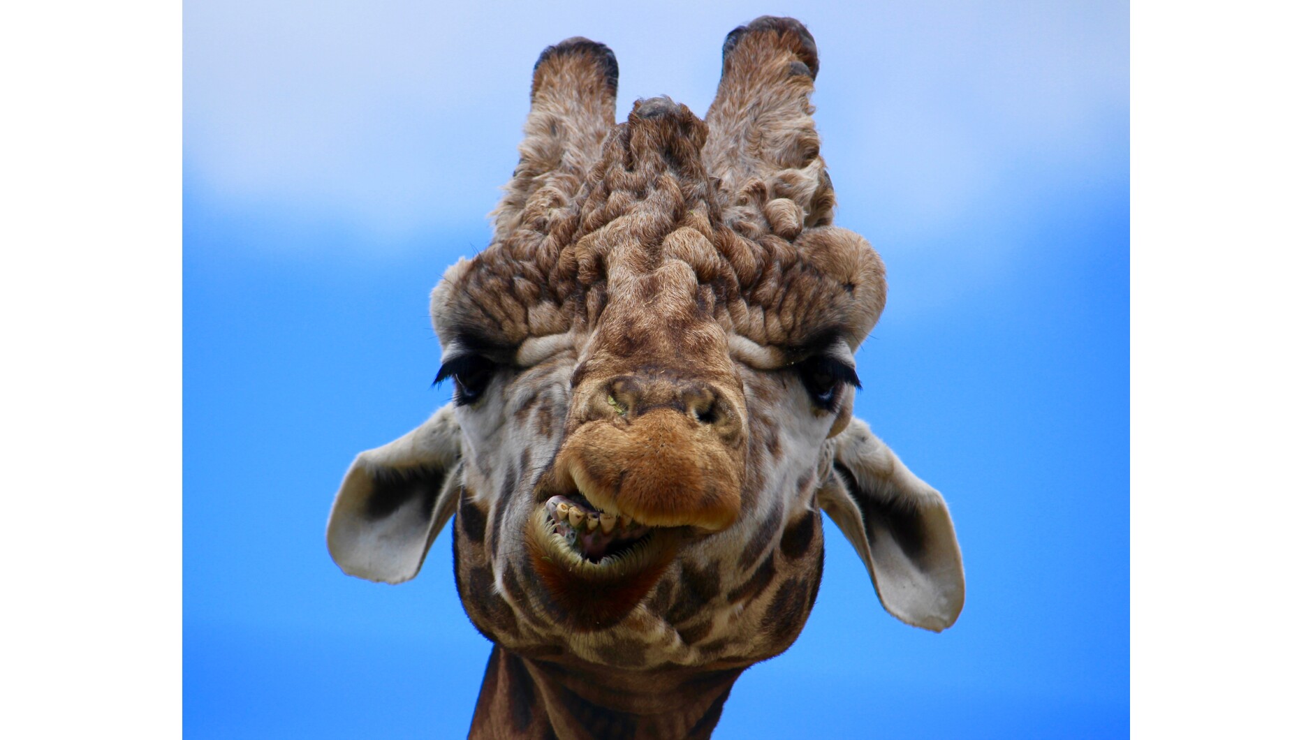 Hamilton Zoo | Activities & Day Trips in Waikato, New Zealand