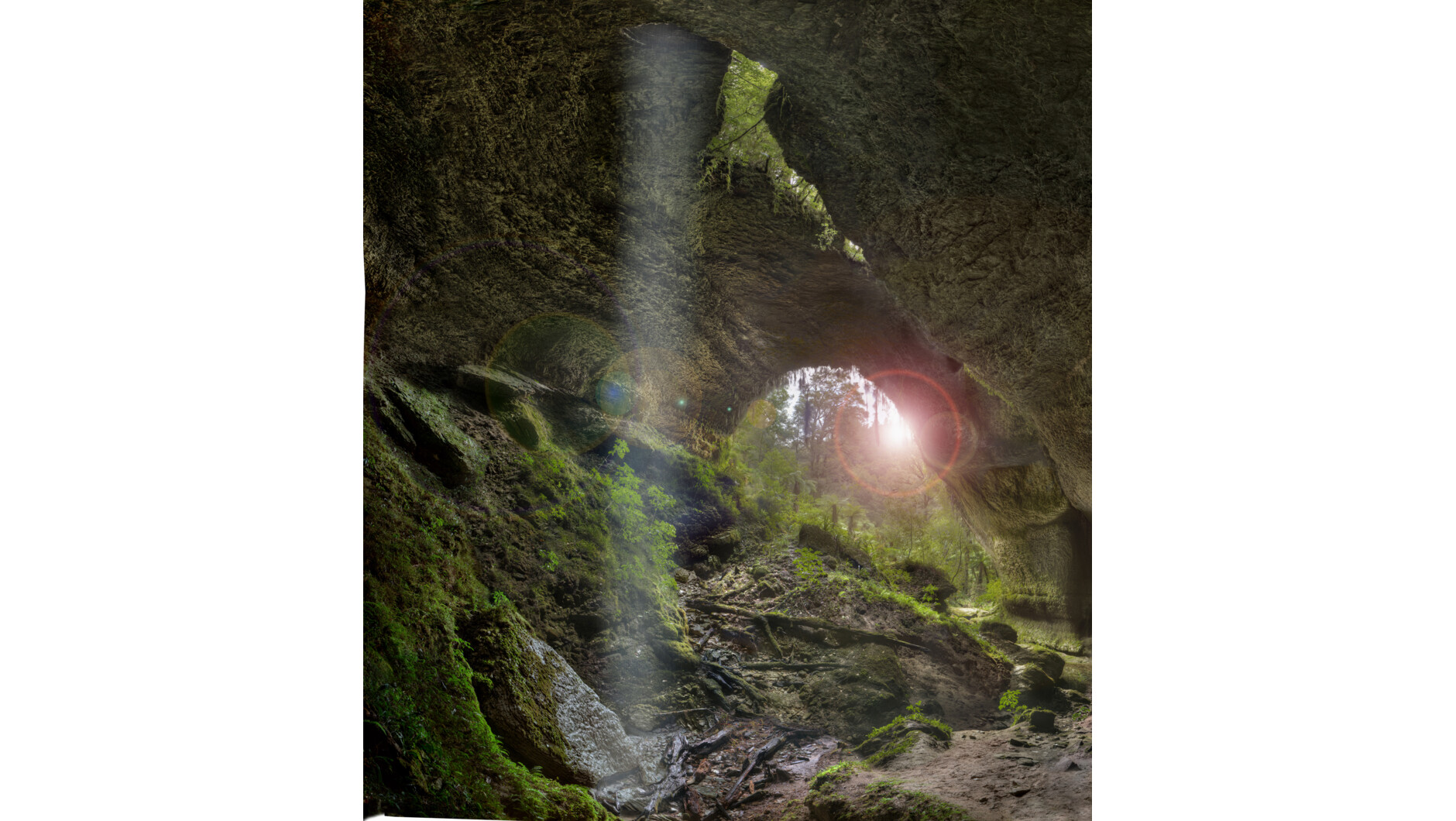 The Charleston GlowWorm Cave Tour | Activity in West Coast, New Zealand
