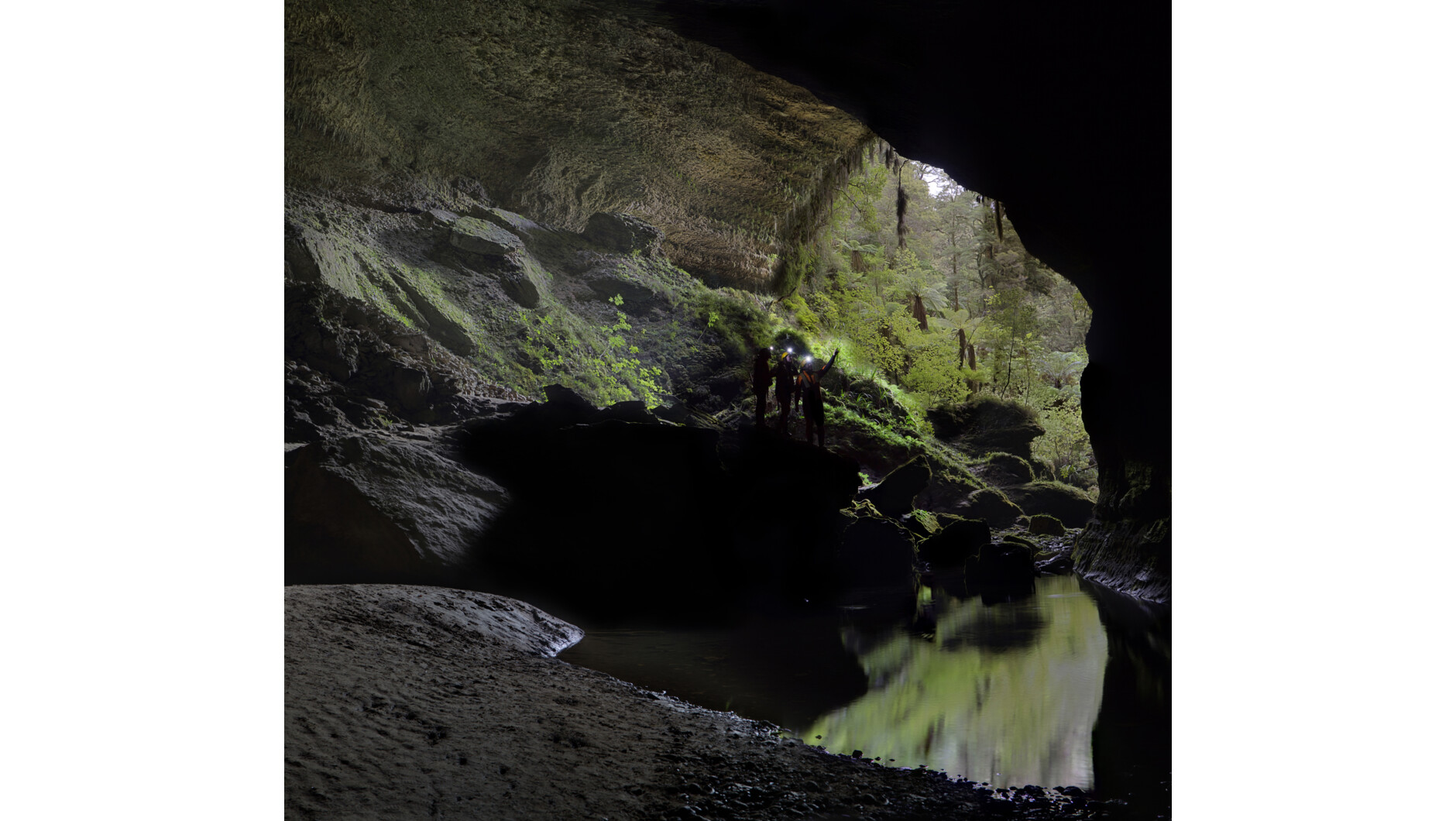 The Charleston GlowWorm Cave Tour | Activities & Day Trips in West ...