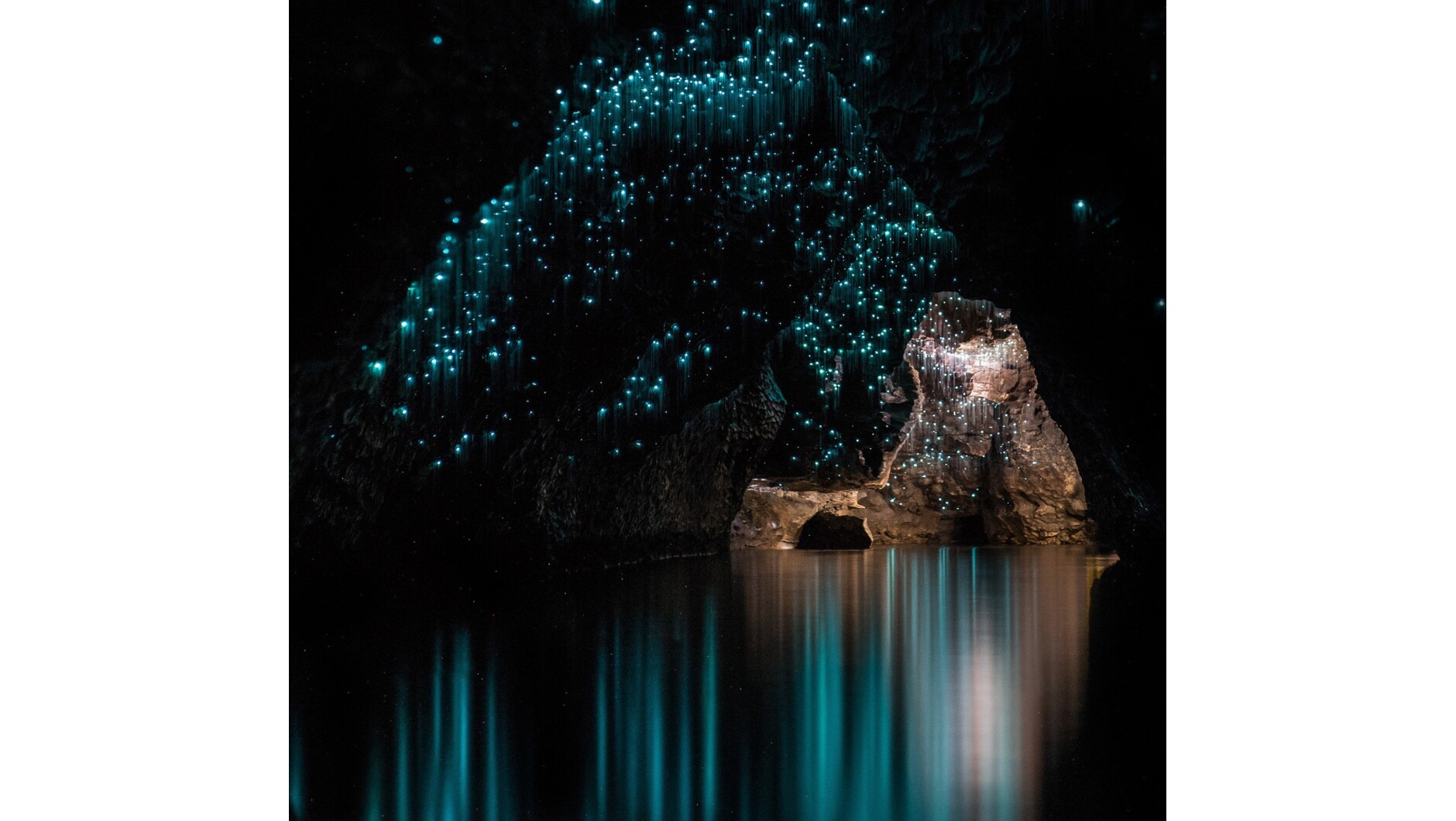 Waitomo Caves & Rotorua Small Group Tour including Te Puia - Cheeky ...