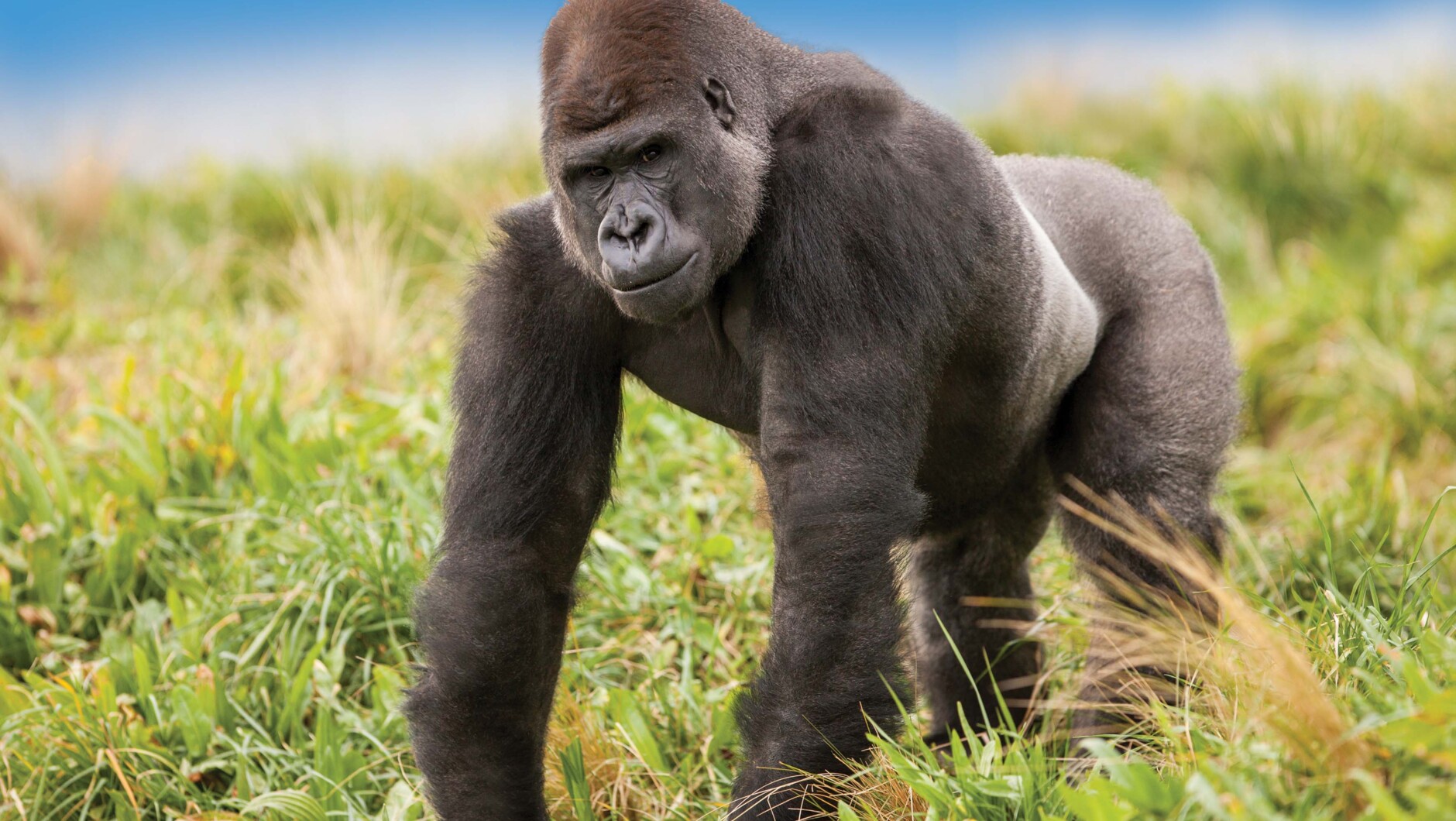Orana Wildlife Park | Activity in Christchurch - Canterbury, New Zealand