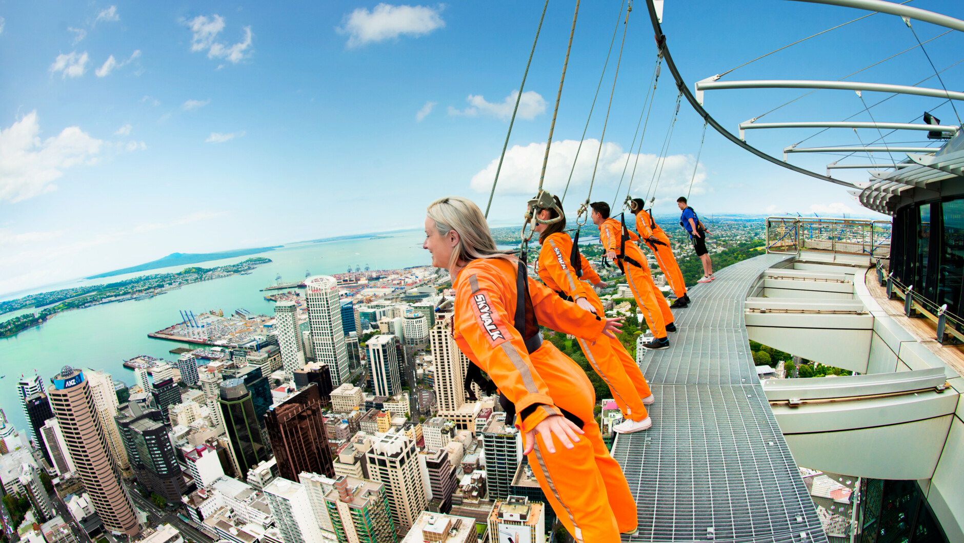 SkyWalk | Activities & Day Trips in Auckland, New Zealand