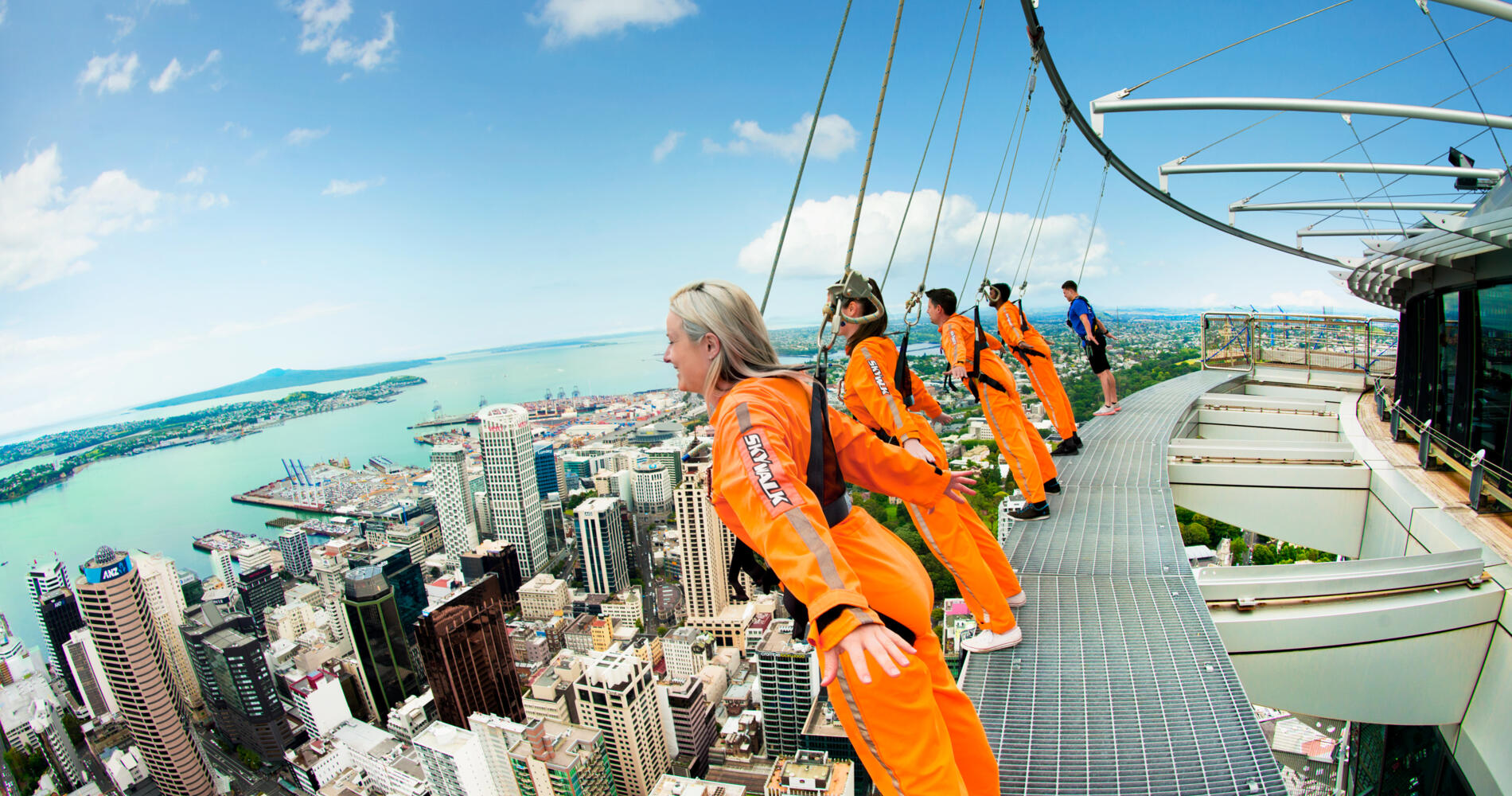 SkyWalk | Activities & Day Trips in Auckland, New Zealand