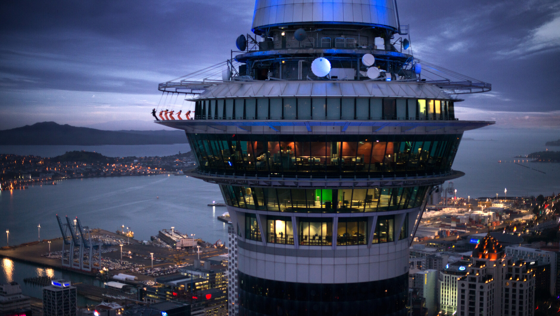 SkyWalk | Activities & Day Trips in Auckland, New Zealand