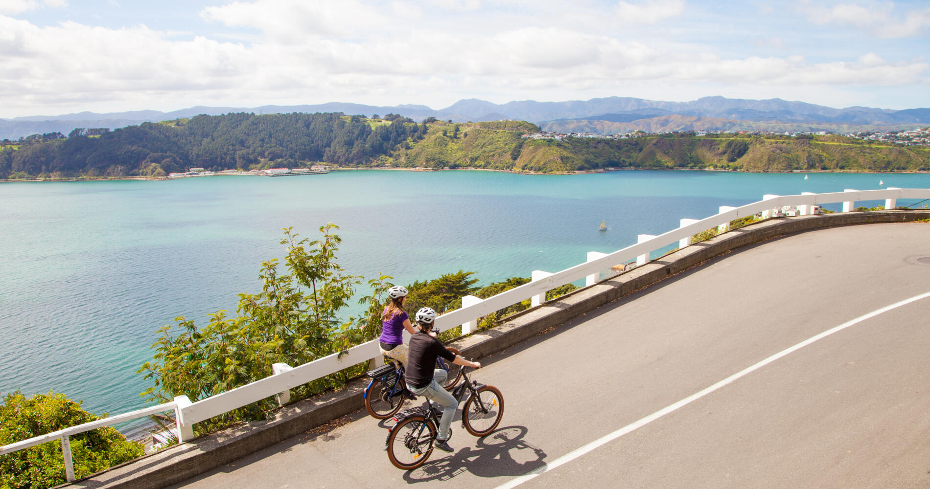 Switched on Bikes- Wellington Electric Bays Guided eBike Tour ...