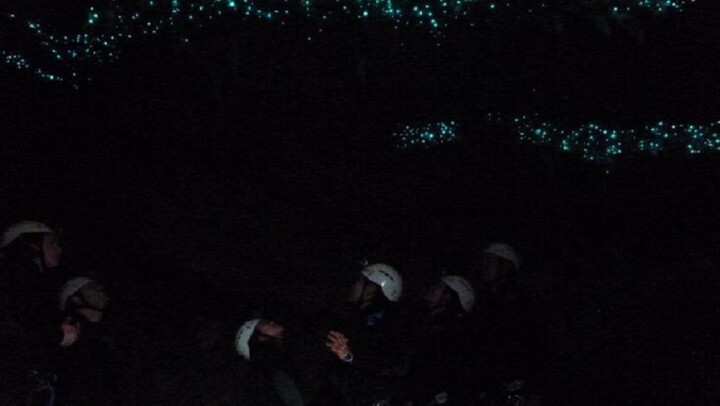 Lost World Half Day Option - 100 Metre Abseil & Cave Exploration ...