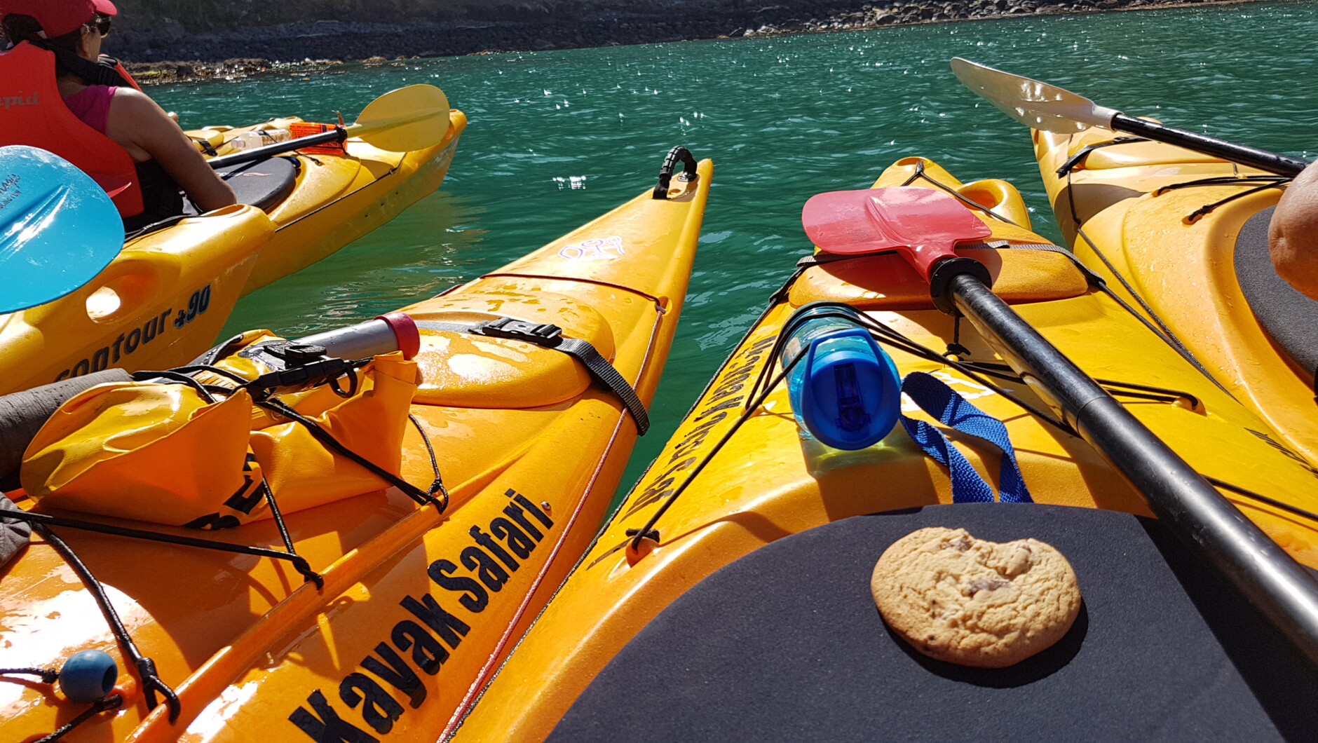 Akaroa Guided Kayak Safari | Activity in Christchurch - Canterbury, New ...