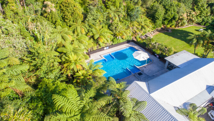 Fernland Spa Thermal Mineral Springs | Activity in Bay of Plenty, New ...