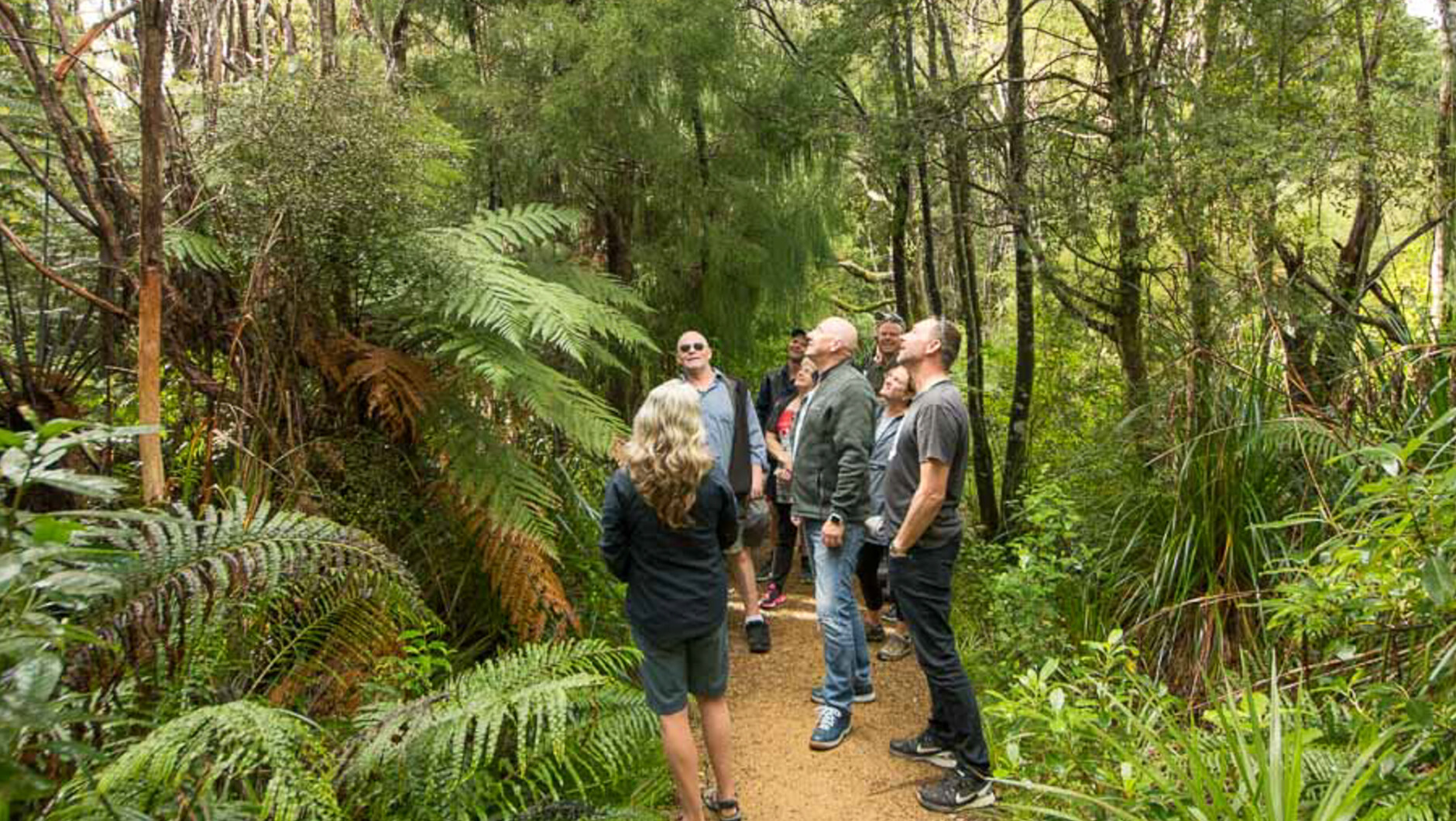 Coast and Rainforest Walk - Full day small group tour with Bush and ...