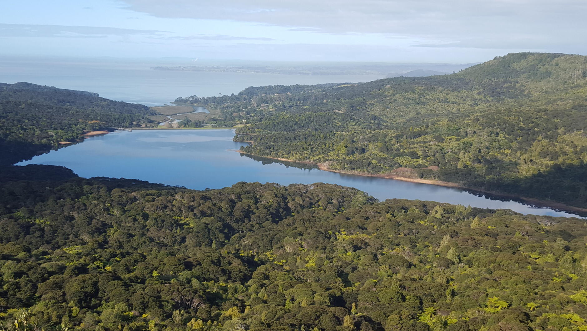 Coast and Rainforest Walk - Full day small group tour with Bush and ...
