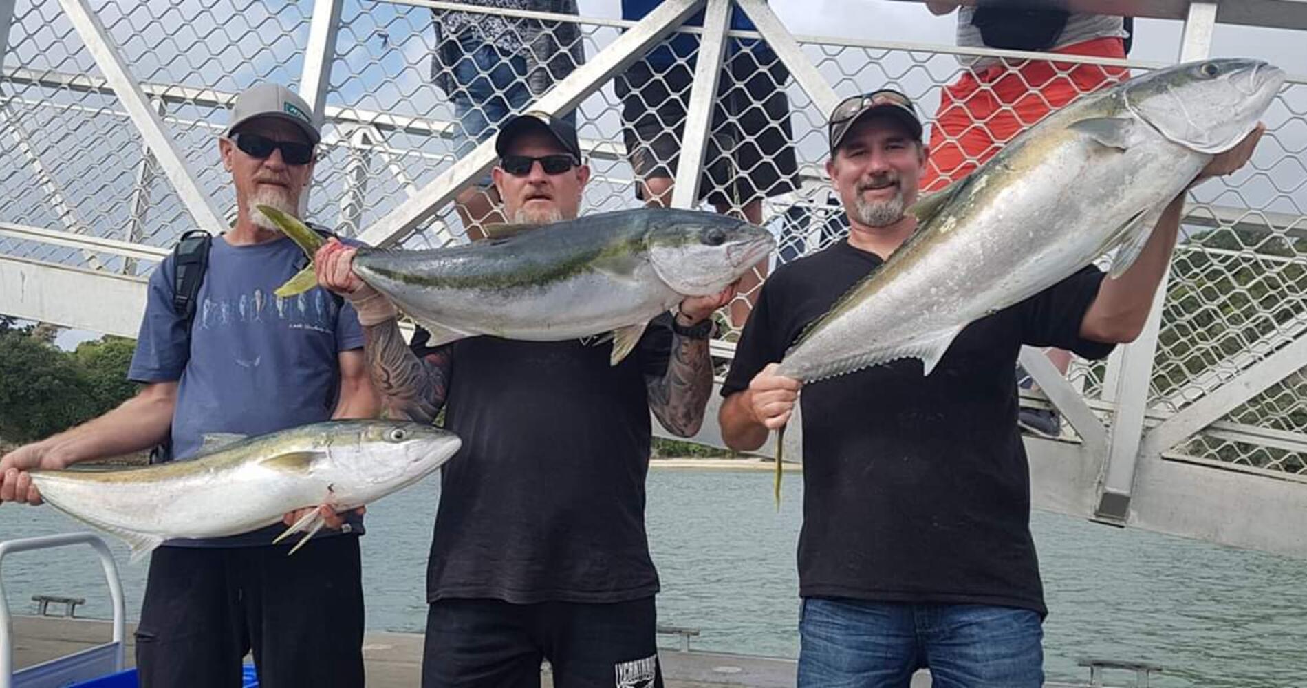 Warfish Marine Charters | Activities & Day Trips in The Coromandel, New ...