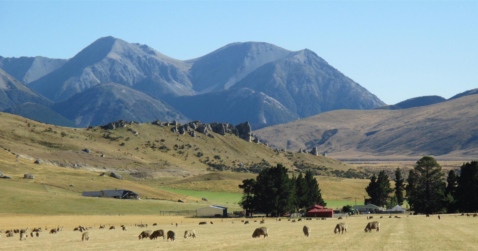 Discover Rural New Zealand - Multi Day Farming & Leisure Tour | Multi ...