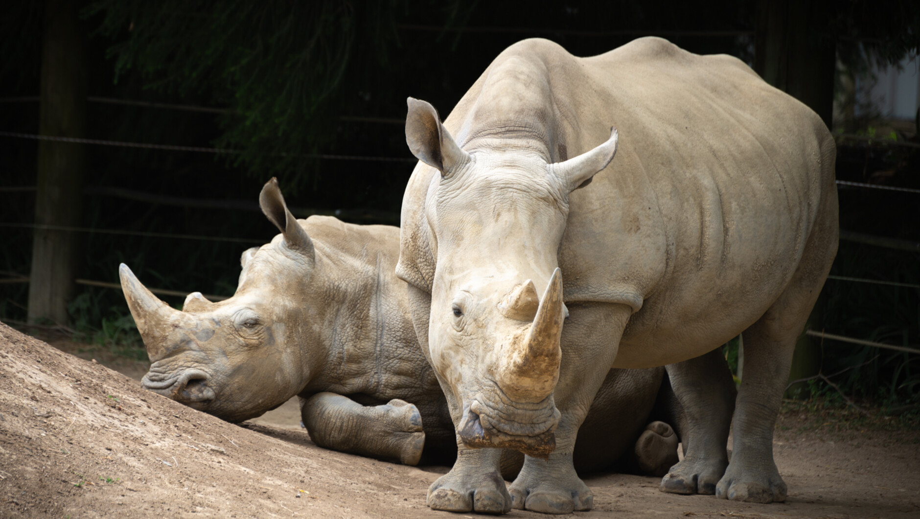 Hamilton Zoo | Activities & Day Trips in Waikato, New Zealand