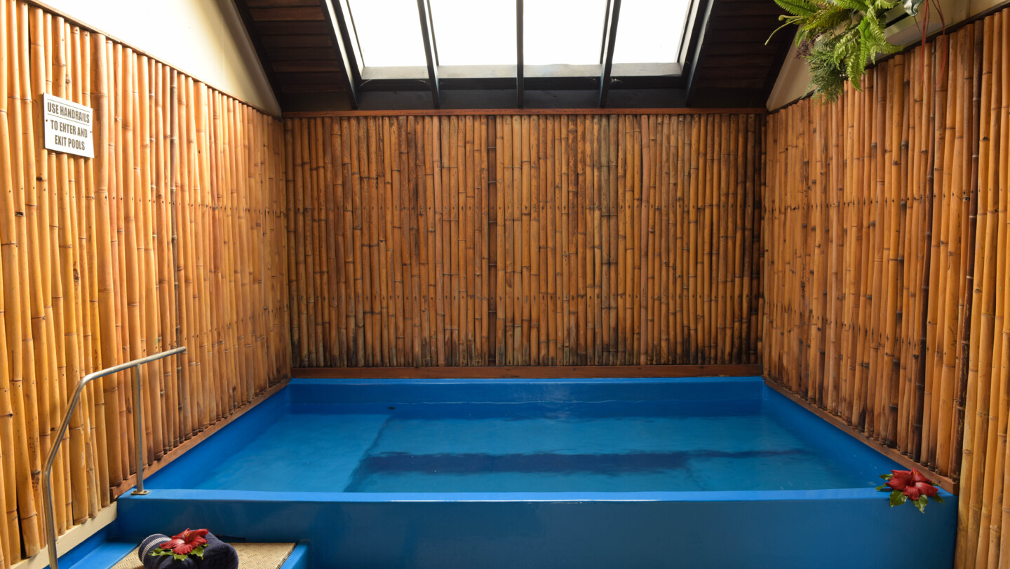 Fernland Spa Thermal Mineral Springs | Activity in Bay of Plenty, New ...