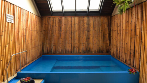 Fernland Spa Thermal Mineral Springs | Activity in Bay of Plenty, New ...