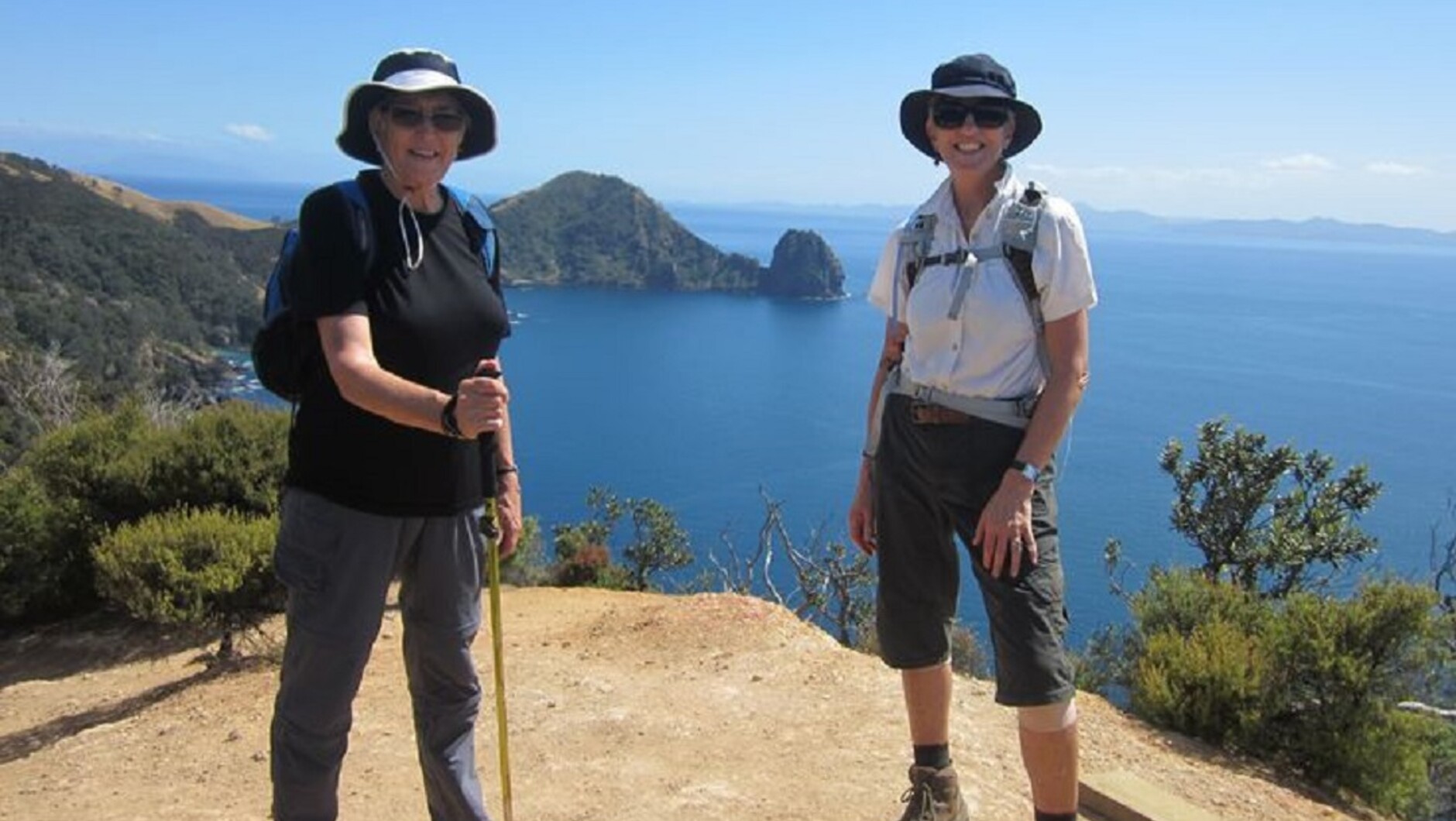 Coromandel Hiking Tour - 4-day, Lodge Based Guided Walk | Activity in ...